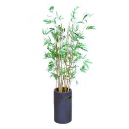Bamboo Tree in Black Cylinder - Distinctive Designs