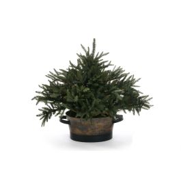 Fir Tree in Oval Antique Planter - Distinctive Designs
