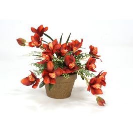 Rust Orchids and Orchid Foliage in Stained Pot - Distinctive Designs