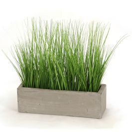 Grass in Concrete Window Box - Distinctive Designs