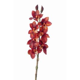 36" Cymbidium Orchid in Rust (Sold in Multiples of 12) - Distinctive ...